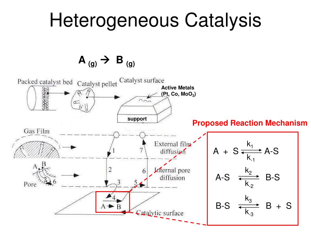 PPT - Catalysis for Chemical Engineers PowerPoint Presentation, free ...