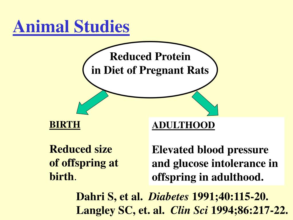 PPT - Fetal Origins of Disease Hypothesis PowerPoint Presentation, free ...