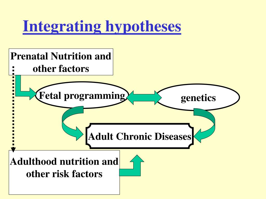 PPT - Fetal Origins of Disease Hypothesis PowerPoint Presentation, free ...