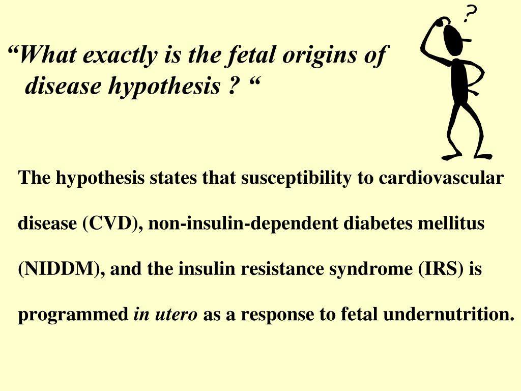 PPT - Fetal Origins of Disease Hypothesis PowerPoint Presentation, free ...