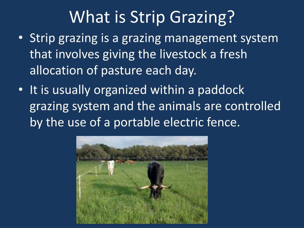 PPT - Whitfield County GA Young Farmers Assoc. PowerPoint Presentation ...