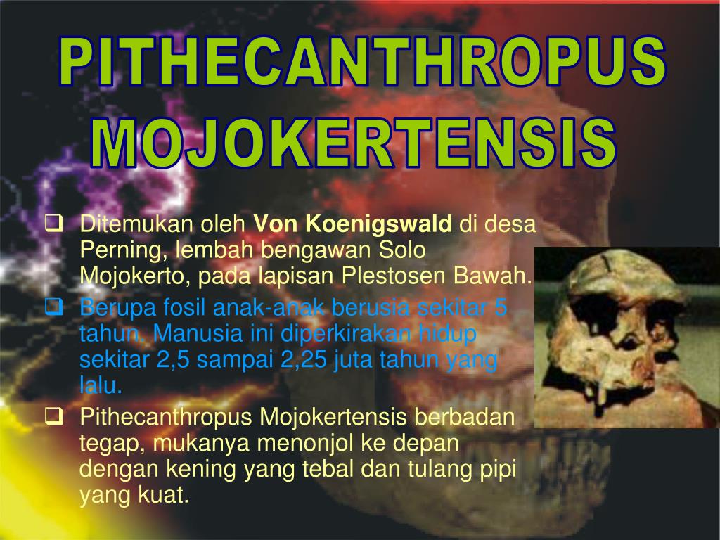 PPT - MANUSIA PURBA Di INDONESIA PowerPoint Presentation, free download ...