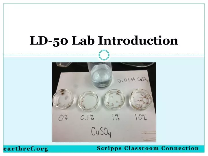 PPT - LD-50 Lab Introduction PowerPoint Presentation, free download ...
