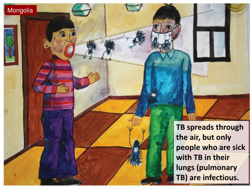 PPT - Tuberculosis quick facts Illustrated through drawings from ...