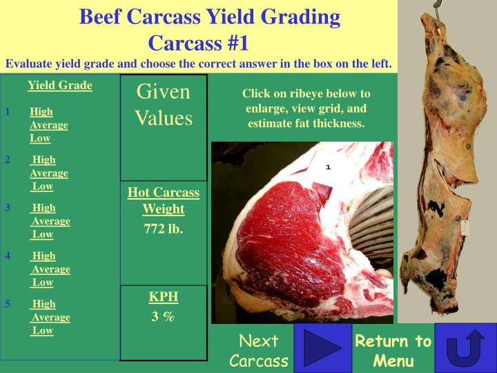 Ppt Beef Carcass Yield Grading Cde Practice Based On The 2002 Georgia State Meats Cde