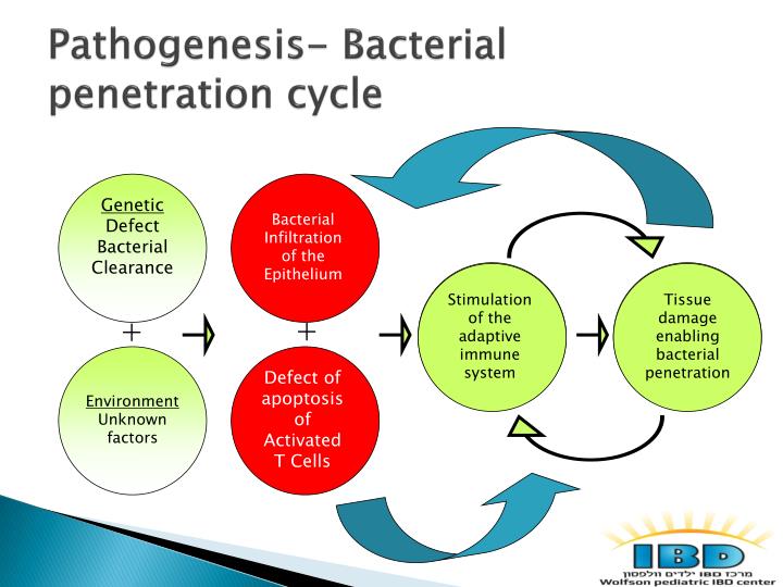 PPT - Azithromycin and Metronidazole for Induction of Remission in ...