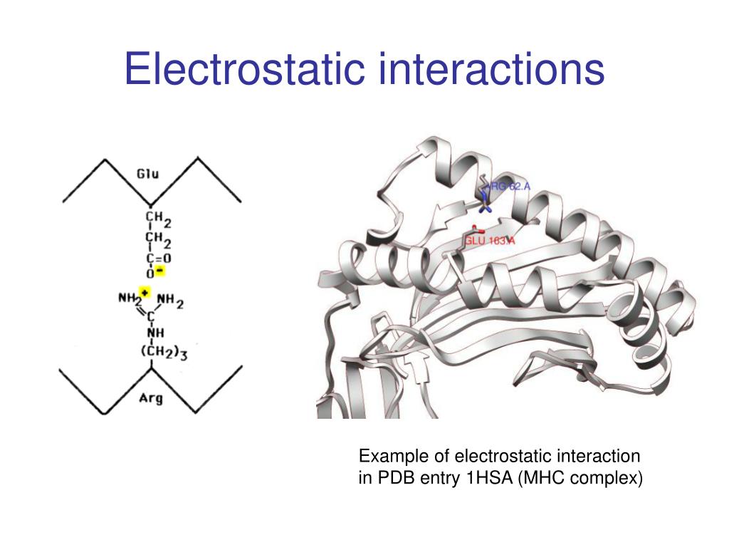 Ppt Introduction To Chemical Bonds And Interactions In Biology