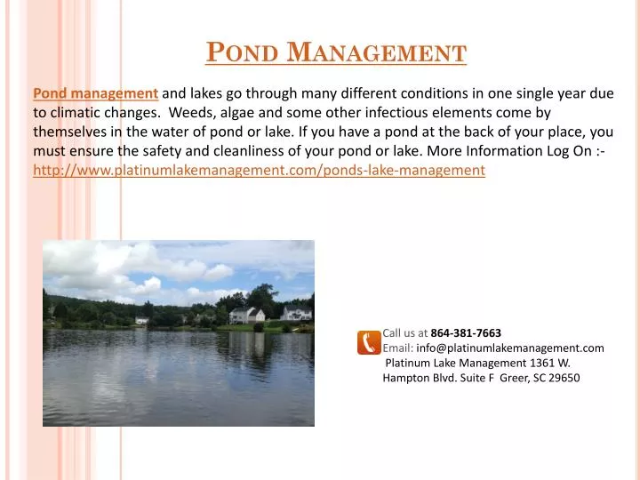 PPT - Pond Management PowerPoint Presentation, free download - ID:2984730