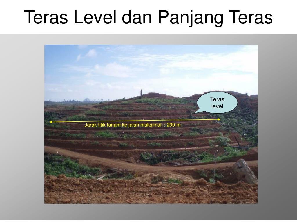 PPT - PEMBUATAN TERAS KONTUR DAN PEMANCANGAN TITIK TANAM VIOLLE SYSTEM ...