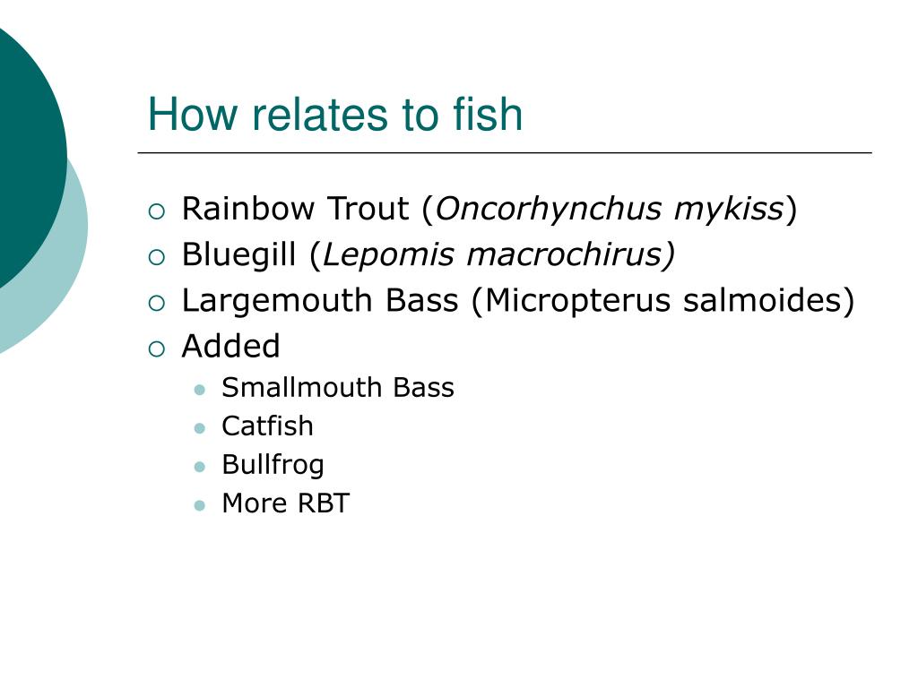 PPT - Profiles: Ingle’s Pond Chemistry and Bathymetry PowerPoint ...