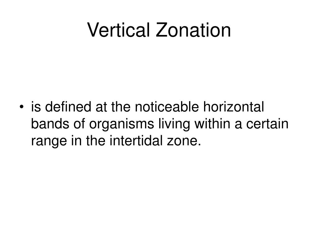 PPT - Honors Marine Biology PowerPoint Presentation, free download - ID ...
