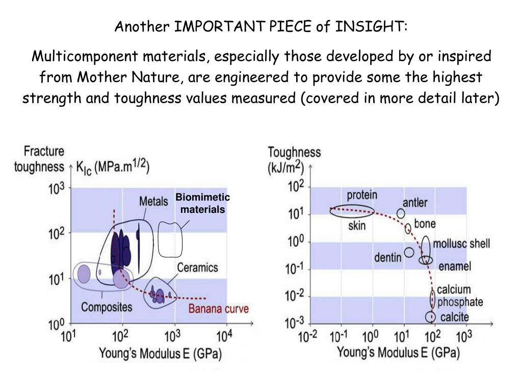 PPT - Mechanical Properties of Polymers PowerPoint Presentation, free ... PPT - Mechanical Properties of Polymers PowerPoint Presentation, free ...