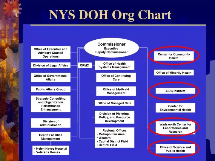PPT - NYS DOH Org Chart PowerPoint Presentation, free download - ID:2987443 PPT - NYS DOH Org Chart PowerPoint Presentation, free download - ID:2987443