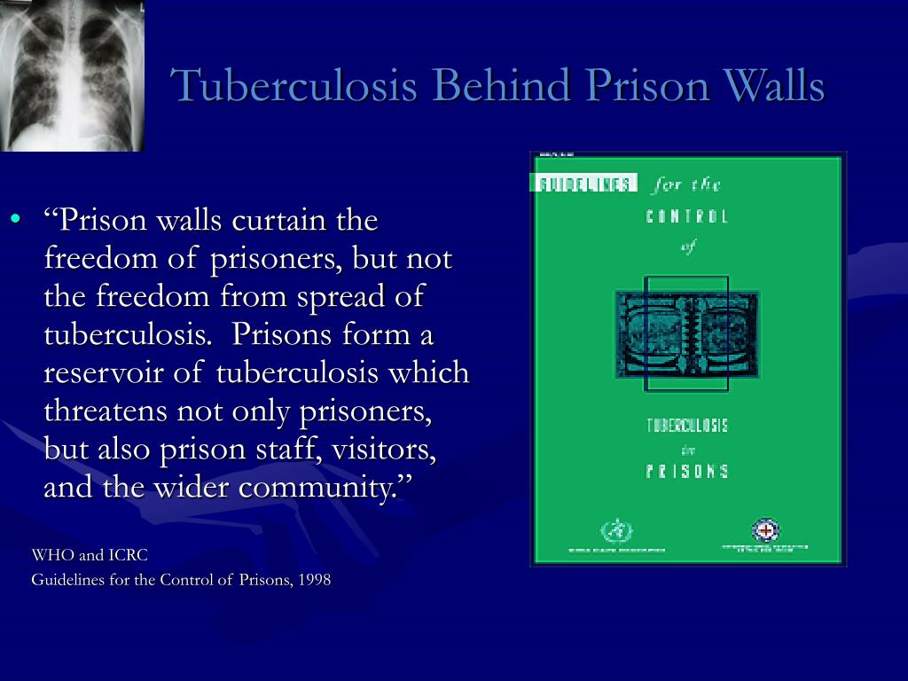 PPT - HEALTH CARE IN PRISONS: AN INTERNATIONAL CHALLENGE IN PRVEVENTIVE ...
