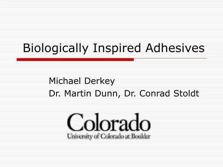 PPT - Biologically Inspired Adhesives PowerPoint Presentation, free ...