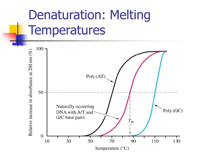 PPT - Chapter 6: Analysis and Characterization of Nucleic Acids and ...