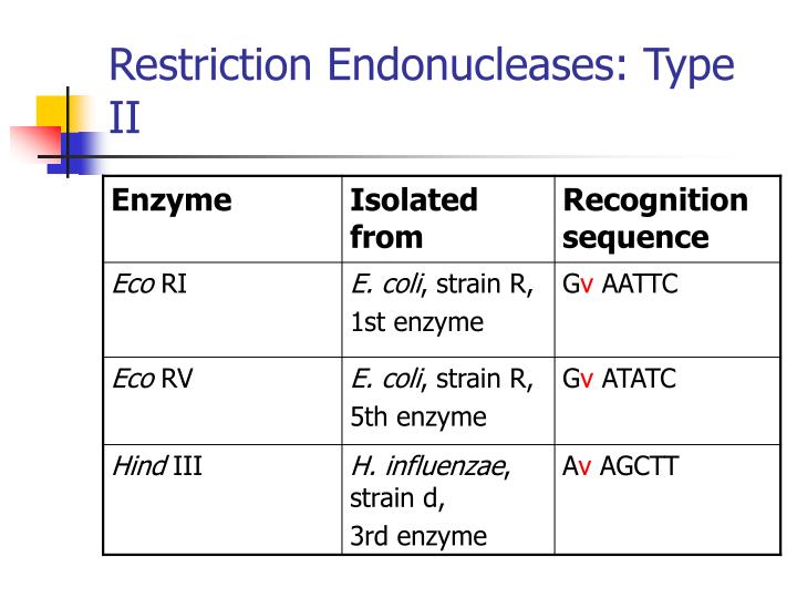 PPT - Chapter 6: Analysis and Characterization of Nucleic Acids and ...