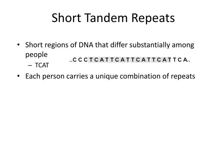 PPT - Paternity Testing PowerPoint Presentation - ID:2988263