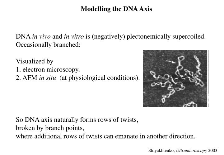PPT - Overview of DNA Topology PowerPoint Presentation - ID:2988382