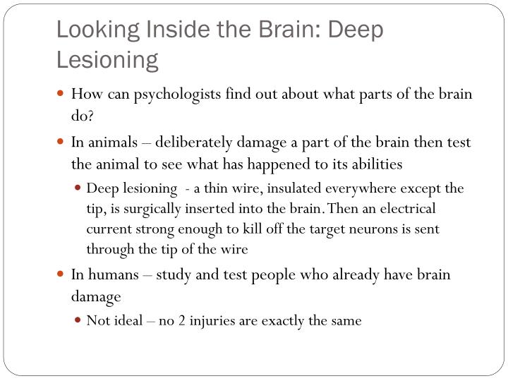 PPT - The Biological Perspective PowerPoint Presentation - ID:2988540