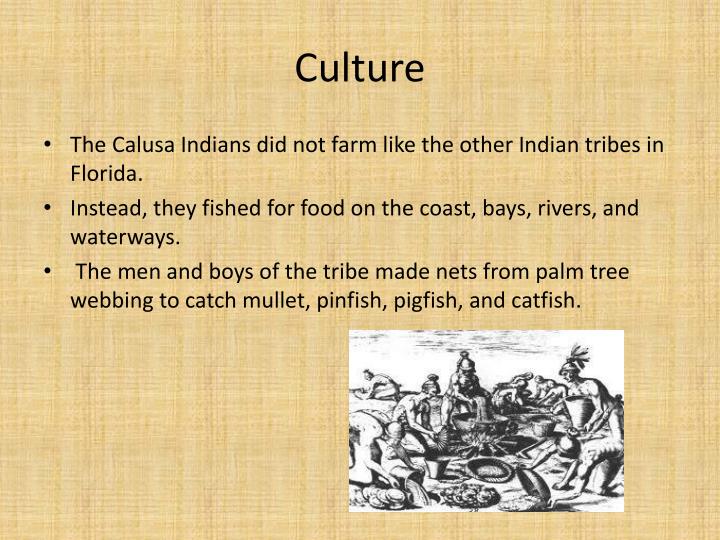 PPT - The Calusa Indians “The Shell Indians” PowerPoint Presentation ...