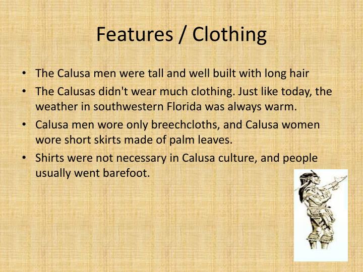 PPT - The Calusa Indians “The Shell Indians” PowerPoint Presentation ...
