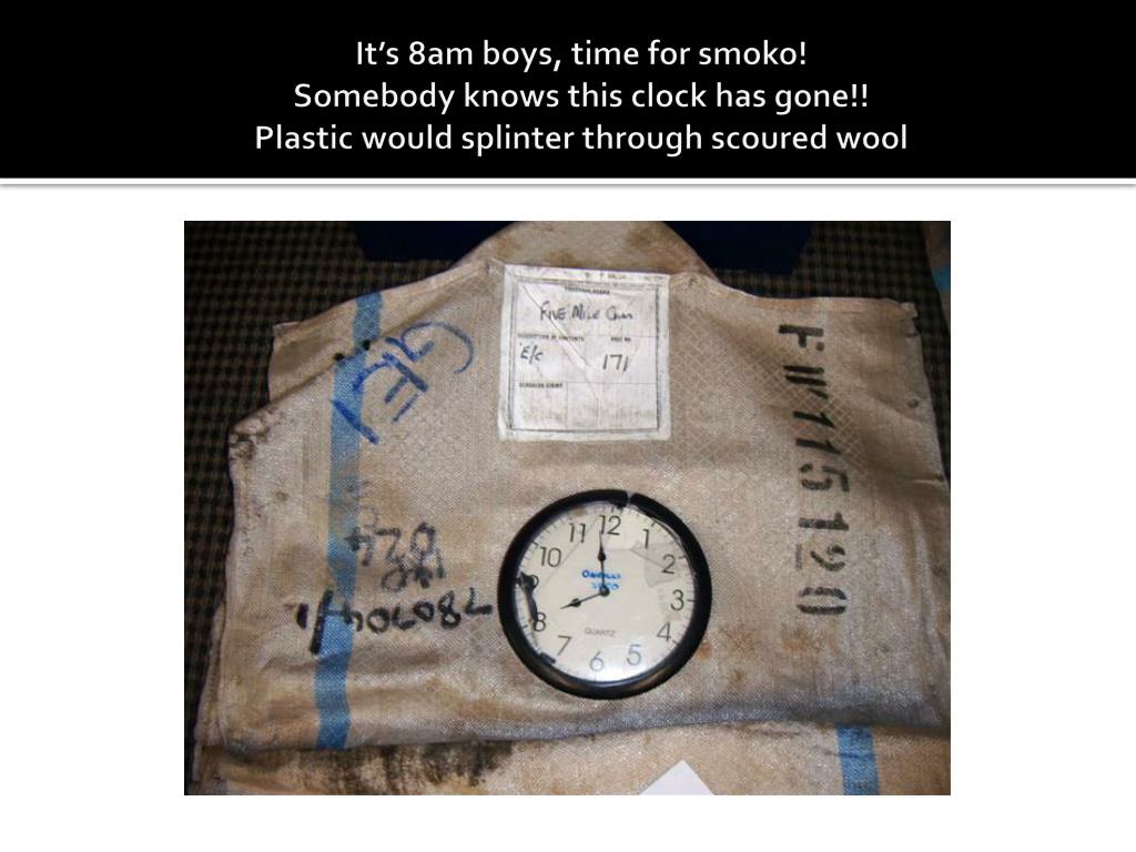 PPT - NON WOOL CONTAMINATION IN NEW ZEALAND GREASY WOOL. PRESENTED BY ...