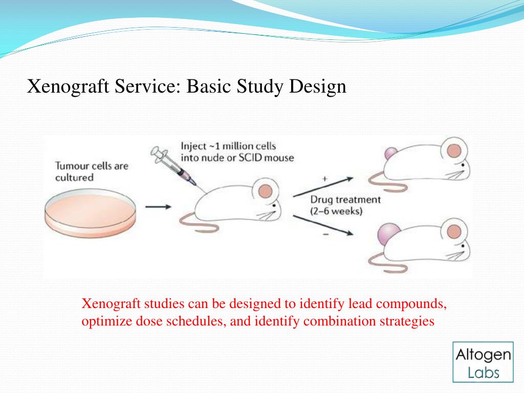 PPT - Offers GLP preclinical and biology CRO services: PowerPoint ...