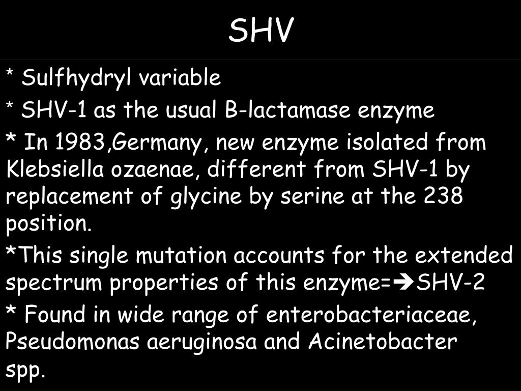 PPT - Emergence of ESBLs “ Extended Spectrum B-Lactamases ” Dr Ahmed ...