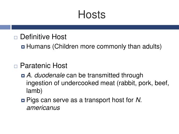 PPT - Hookworm Infection PowerPoint Presentation - ID:2989455