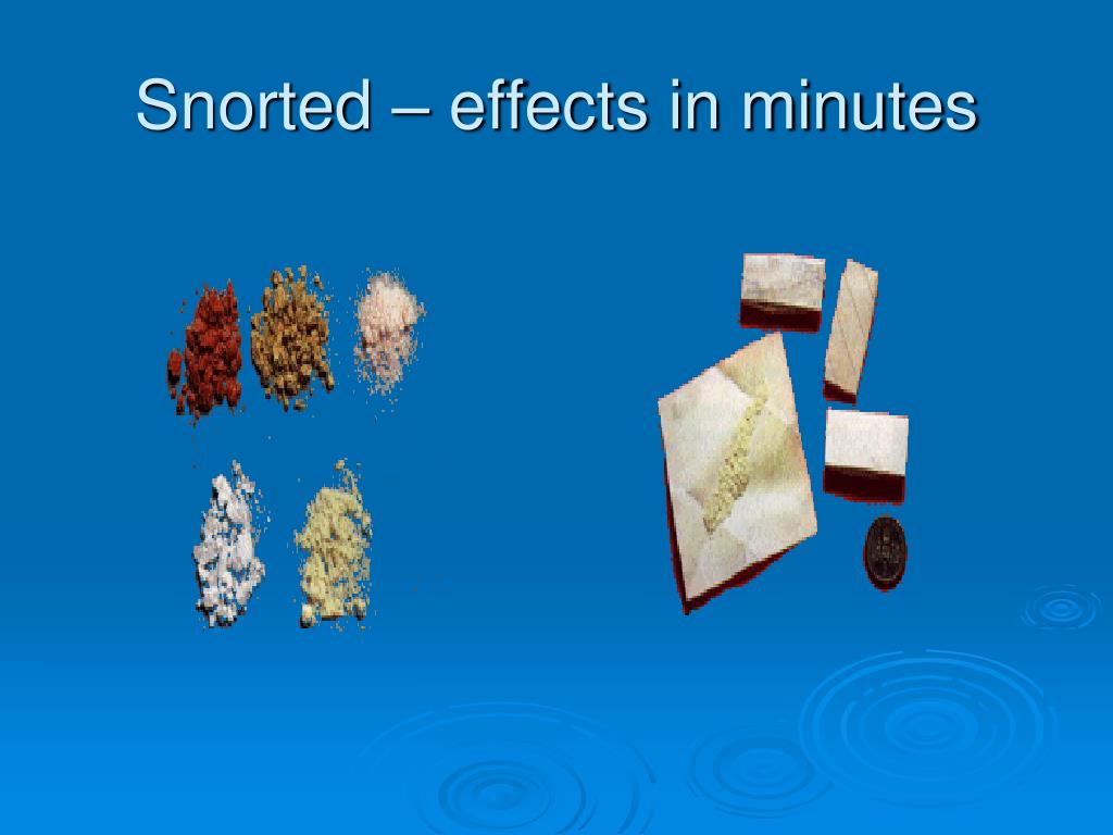 PPT - Drug and Alcohol Awareness PowerPoint Presentation, free download ...