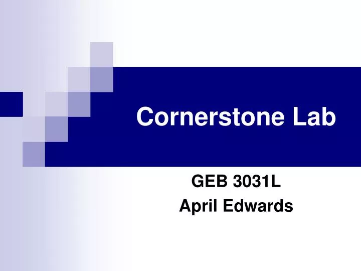 PPT - Cornerstone Lab PowerPoint Presentation, free download - ID:2990057