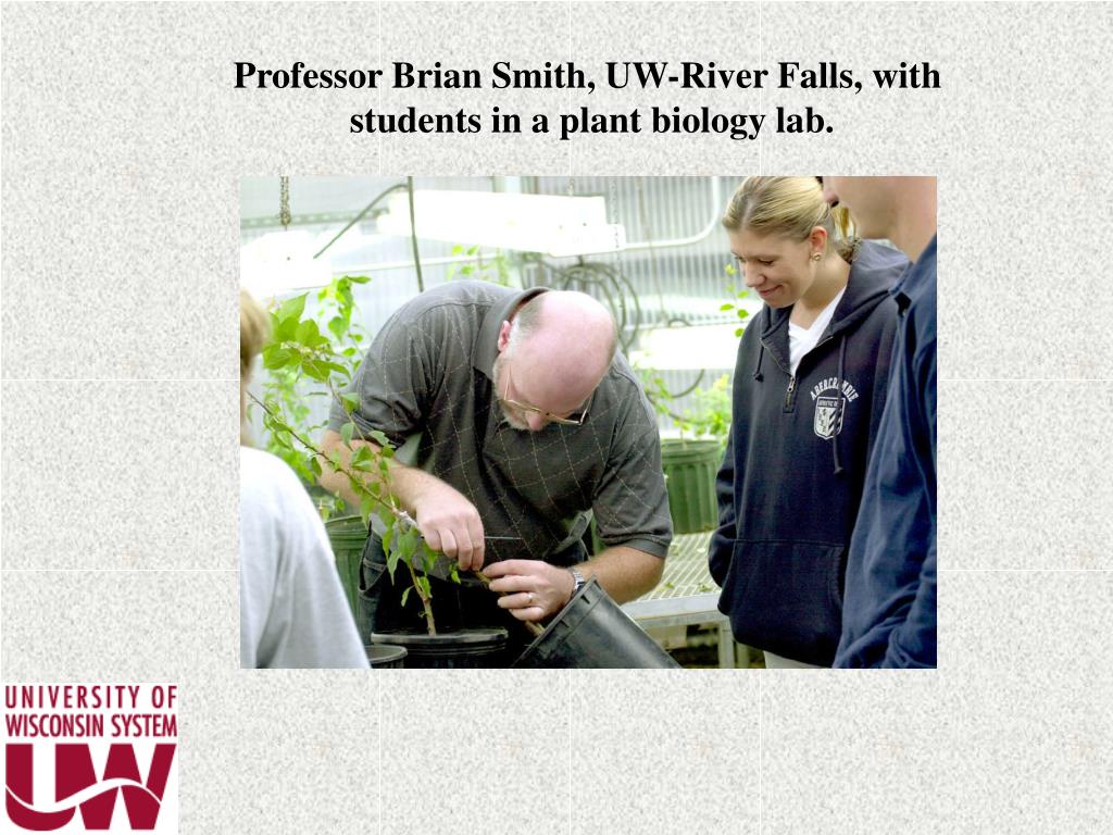 PPT - Faculty/Undergraduate Student Research on UW WiSys Campuses ...