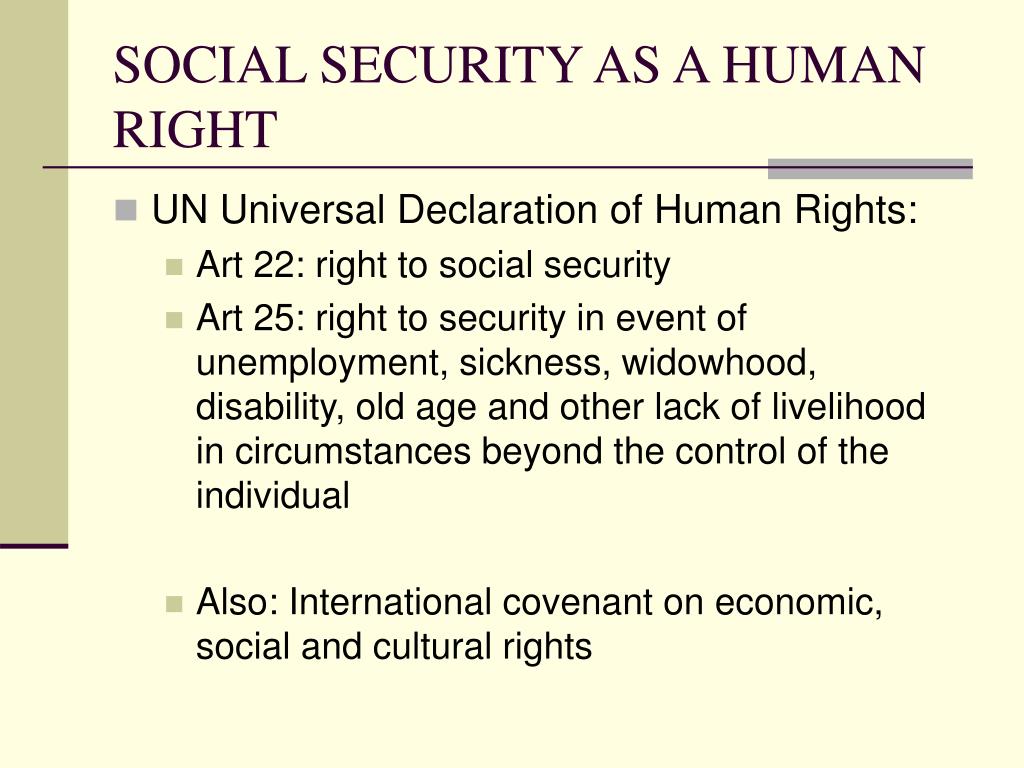 PPT - SOCIAL SECURITY AND HUMAN RIGHTS: THE SOUTH AFRICAN EXPERIENCE ...