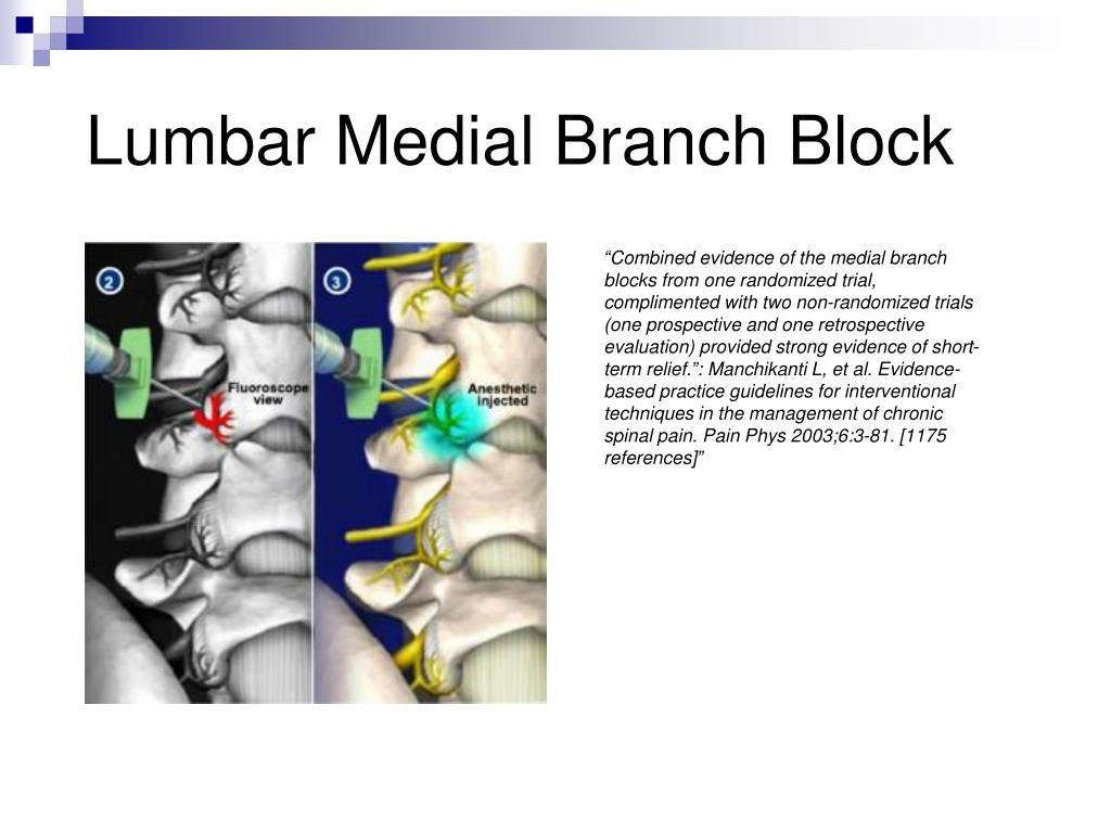 PPT - The Role of Physiatry in Occupational Medicine January 31, 2013 ...