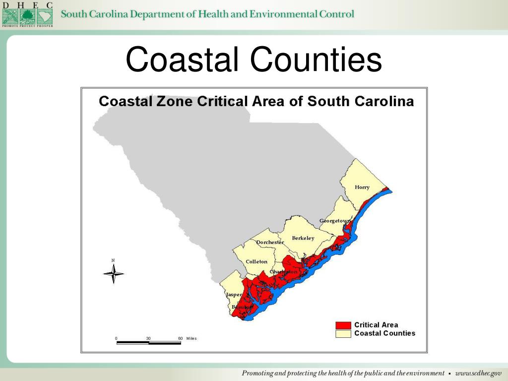 PPT - Freshwater Wetlands in South Carolina PowerPoint Presentation ...