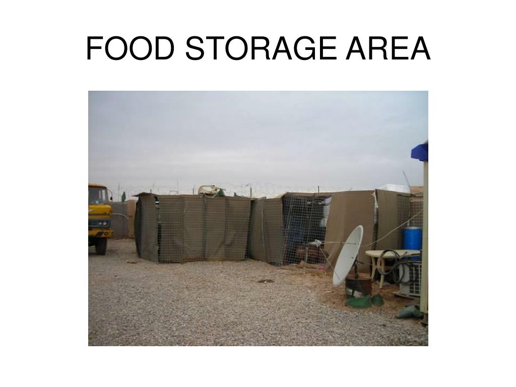 PPT - Iraqi Battalion Insights: Life in Combat Zones PowerPoint ...