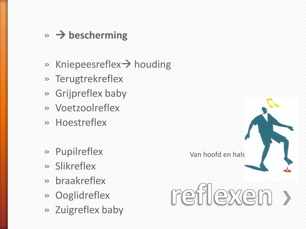 PPT - 5. De weg die impulsen afleggen PowerPoint Presentation, free ...