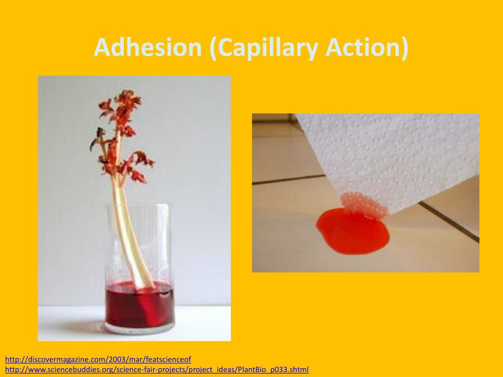 PPT - Chemistry of Life Part II -Chemical Reactions -Enzymes -Water ...