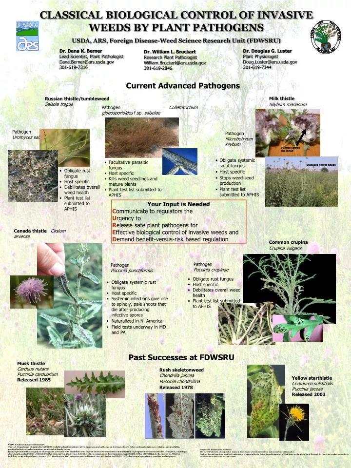 PPT - USDA Nondiscrimination Statement PowerPoint Presentation, free ...