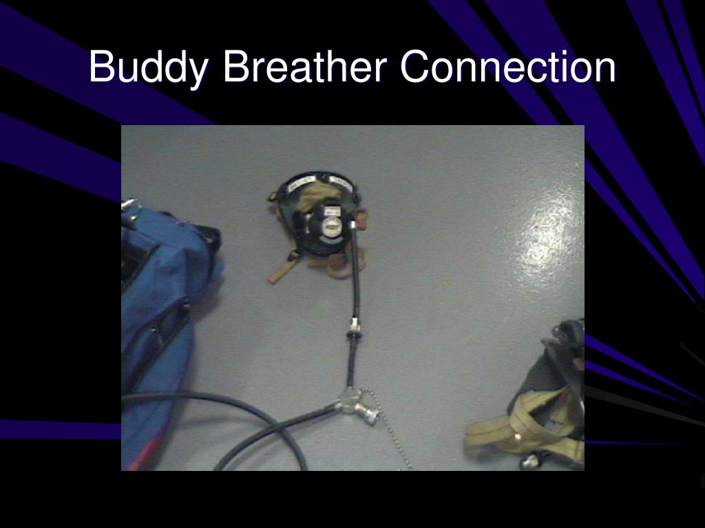 PPT - Blackwood Fire Company PowerPoint Presentation, free download ...