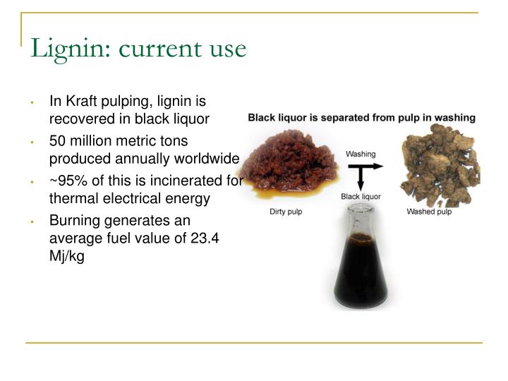 PPT - Alternative Uses for Lignin PowerPoint Presentation - ID:2993719
