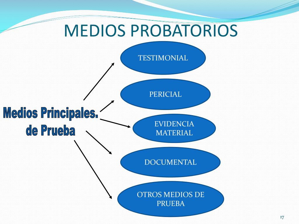 PPT - ETAPA DE PREPARACIÓN A JUICIO ORAL PowerPoint Presentation, free ...