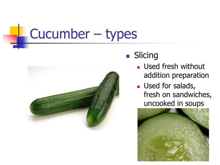 PPT - Cucumber ( Cucumis sativus ) PowerPoint Presentation - ID:2994277