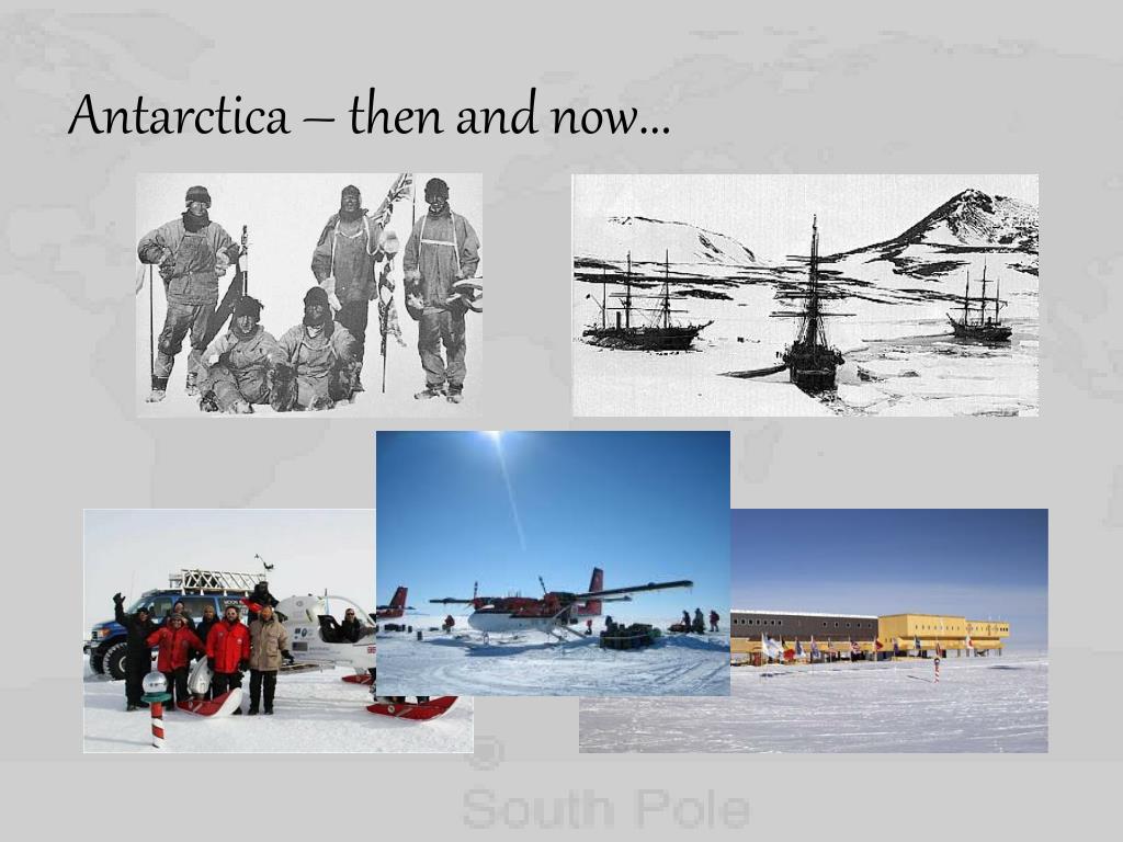 PPT - Animals of the Antarctica by Cameron Mayes PowerPoint ...