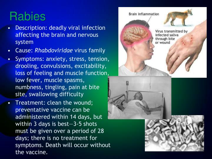 PPT - Brain Disorders and the Effect of Drugs PowerPoint Presentation ...