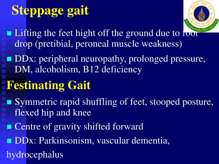 PPT - เครื่องมือและแบบประเมินใน คลินิกผู้สูงอายุ PowerPoint ...