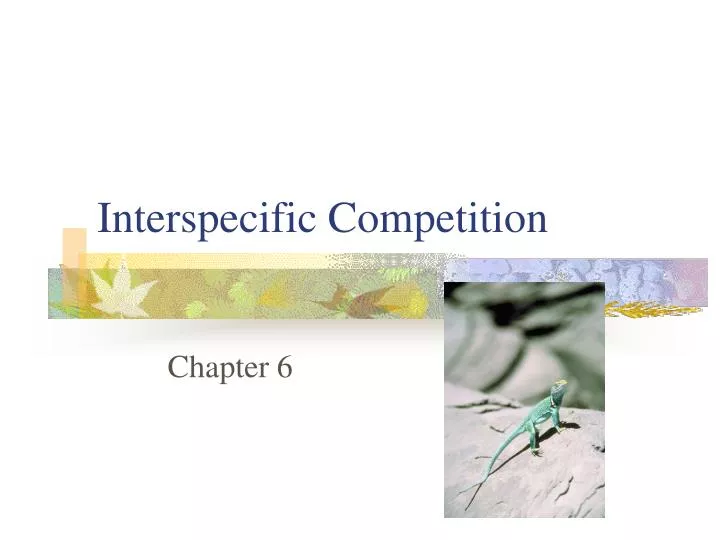 PPT - Interspecific Competition PowerPoint Presentation, free download ...