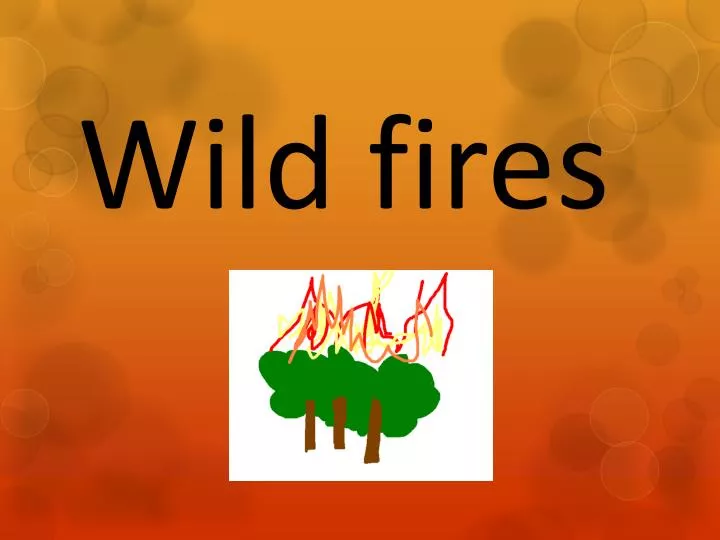 PPT - Wild fires PowerPoint Presentation, free download - ID:2995880