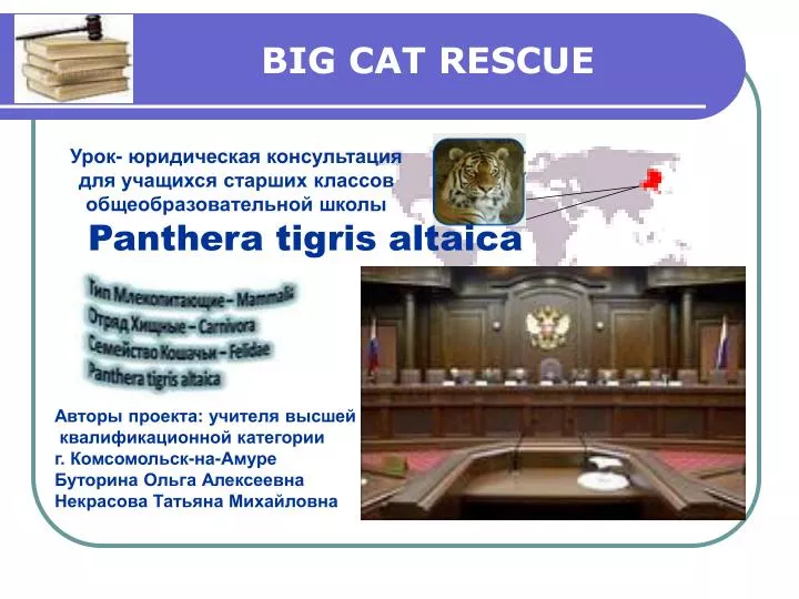 PPT - BIG CAT RESCUE PowerPoint Presentation, free download - ID:2996060